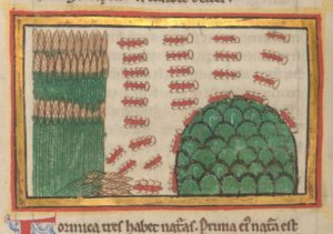 Welcome To Medieval Animals | Our project focuses on the rich diversity ...